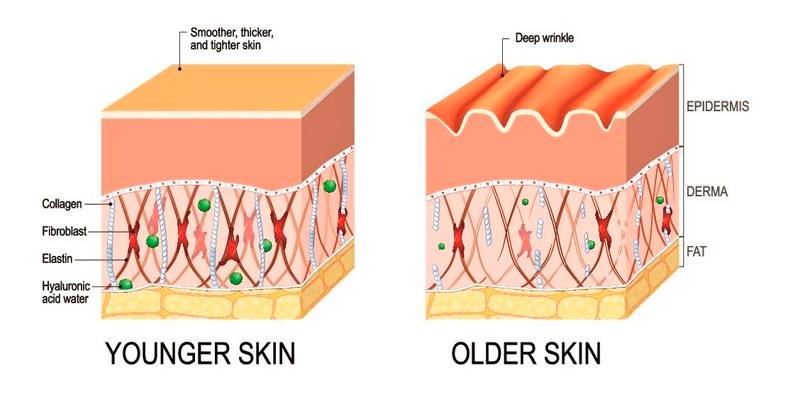 Anti-Ageing Before and After Treatment with Stem Cells | Swiss Medica