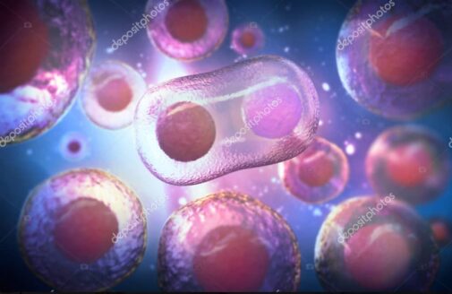 What Are Stem Cells? Stem Cells Studies and Researches | Swiss Medica