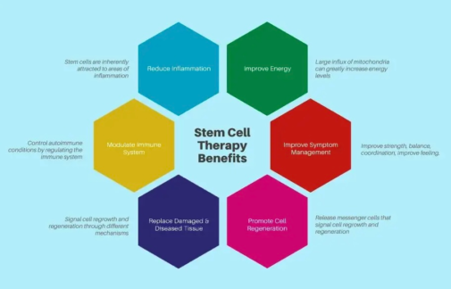 The Stages of ALS: Understanding the Progression of the Disease | Swiss ...