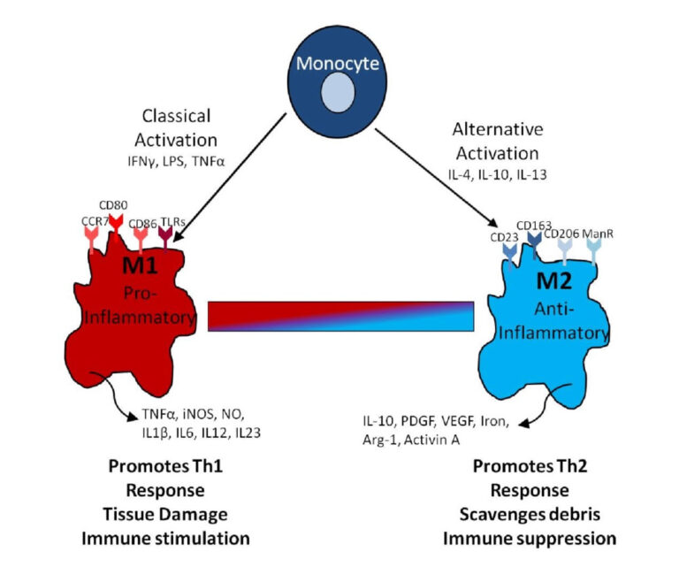 Revolutionizing Central Nervous System Disease Treatment With
