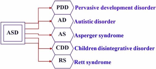 Understanding The Three Levels Of Autism: Everything You Need To Know ...