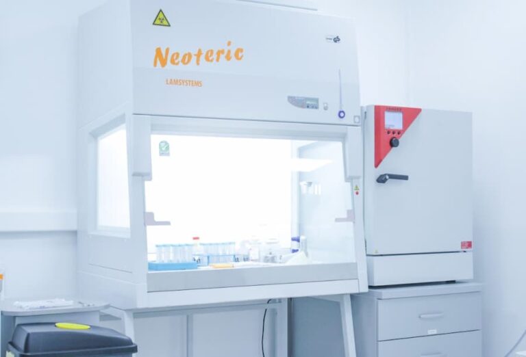 Stem Cell Safety: What You Need to Know | Swiss Medica