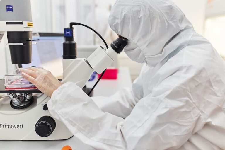 Stem Cell Therapy Procedure: What to Expect at Every Step | Swiss Medica